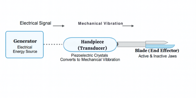 Harmonic Scalpel in Modern Surgery: Precision Cutting Meets Ultrasonic ...